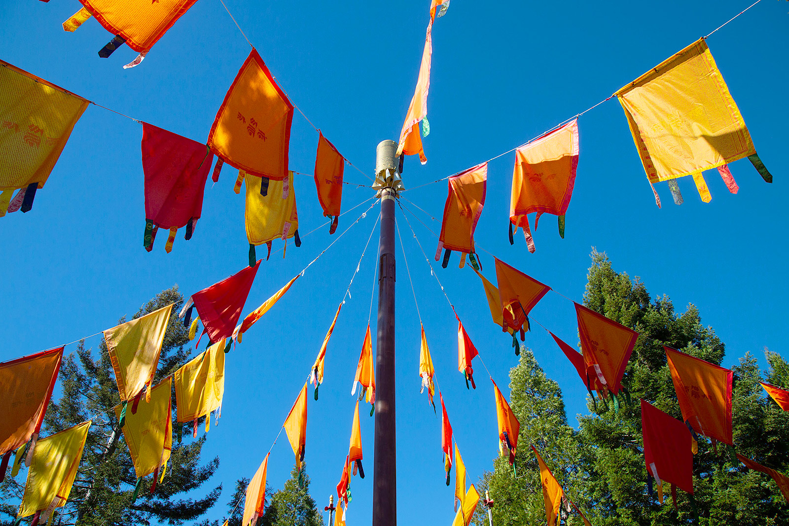 Please consider making a donation to support Odiyan